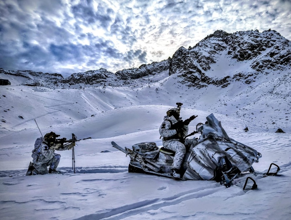 The Italian Army Rangers in the mountain-arctic environment - Italian ...